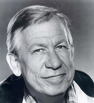 Allan Melvin, Man of Many Characters - chimesfreedom